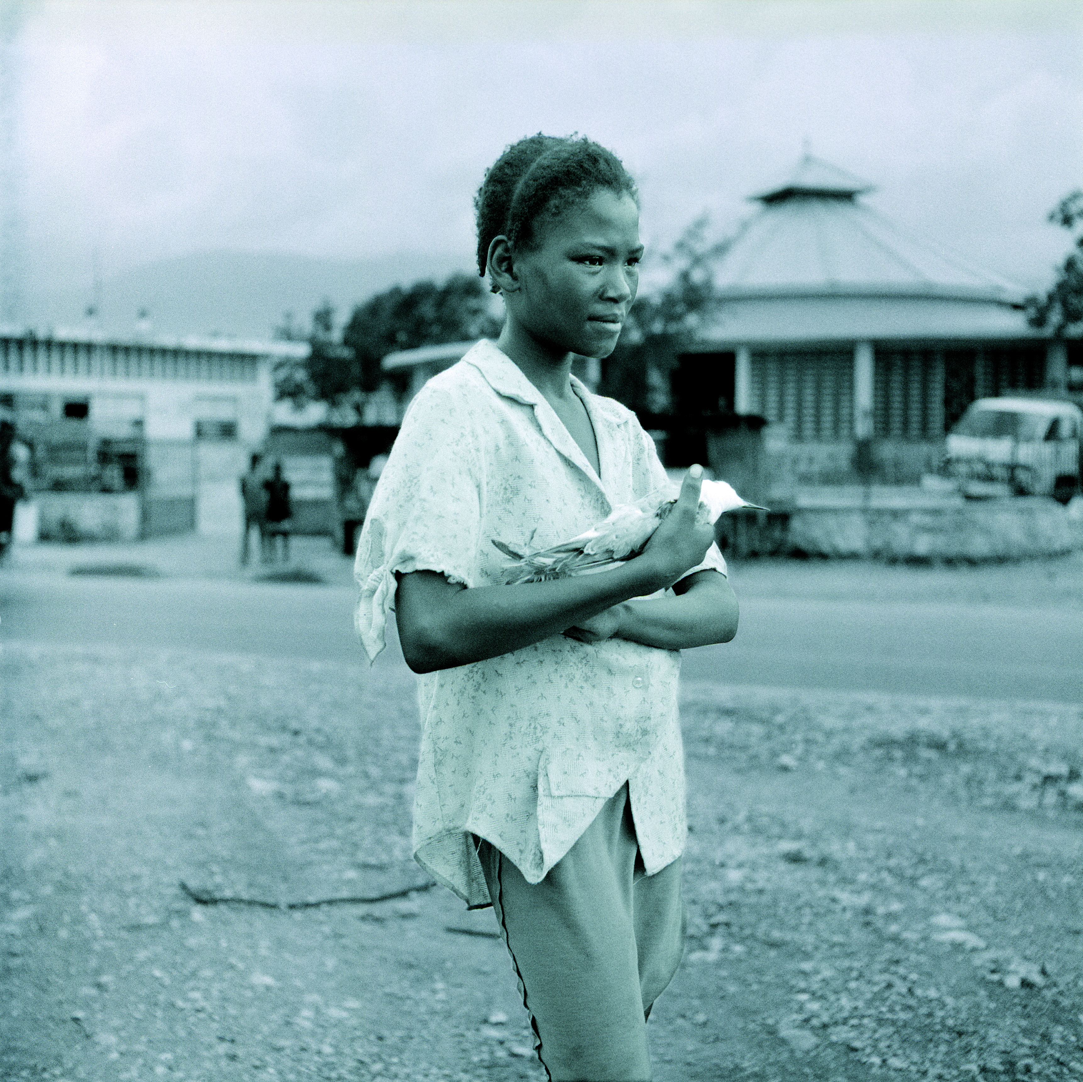 Riflemaker Contemporary Art | The Riflemaker Gallery | Leah Gordon